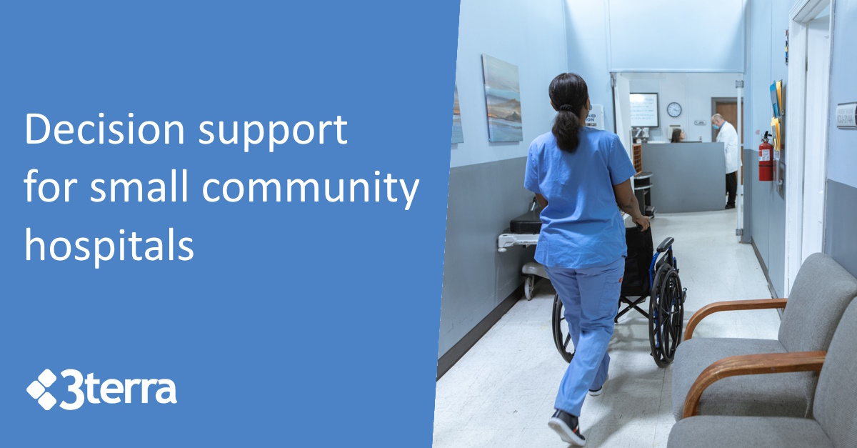 Decision support for small community hospitals - 3terra